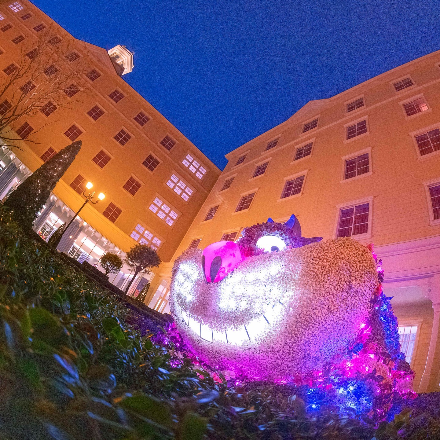 【公式】検索結果東京ディズニーリゾート